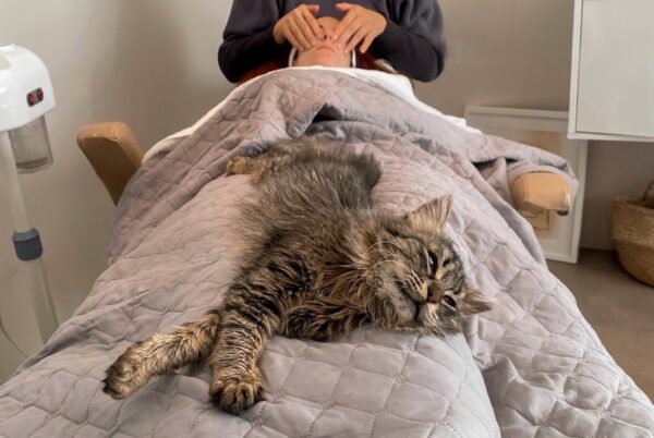 assai Healthy Skin | Skin Spa